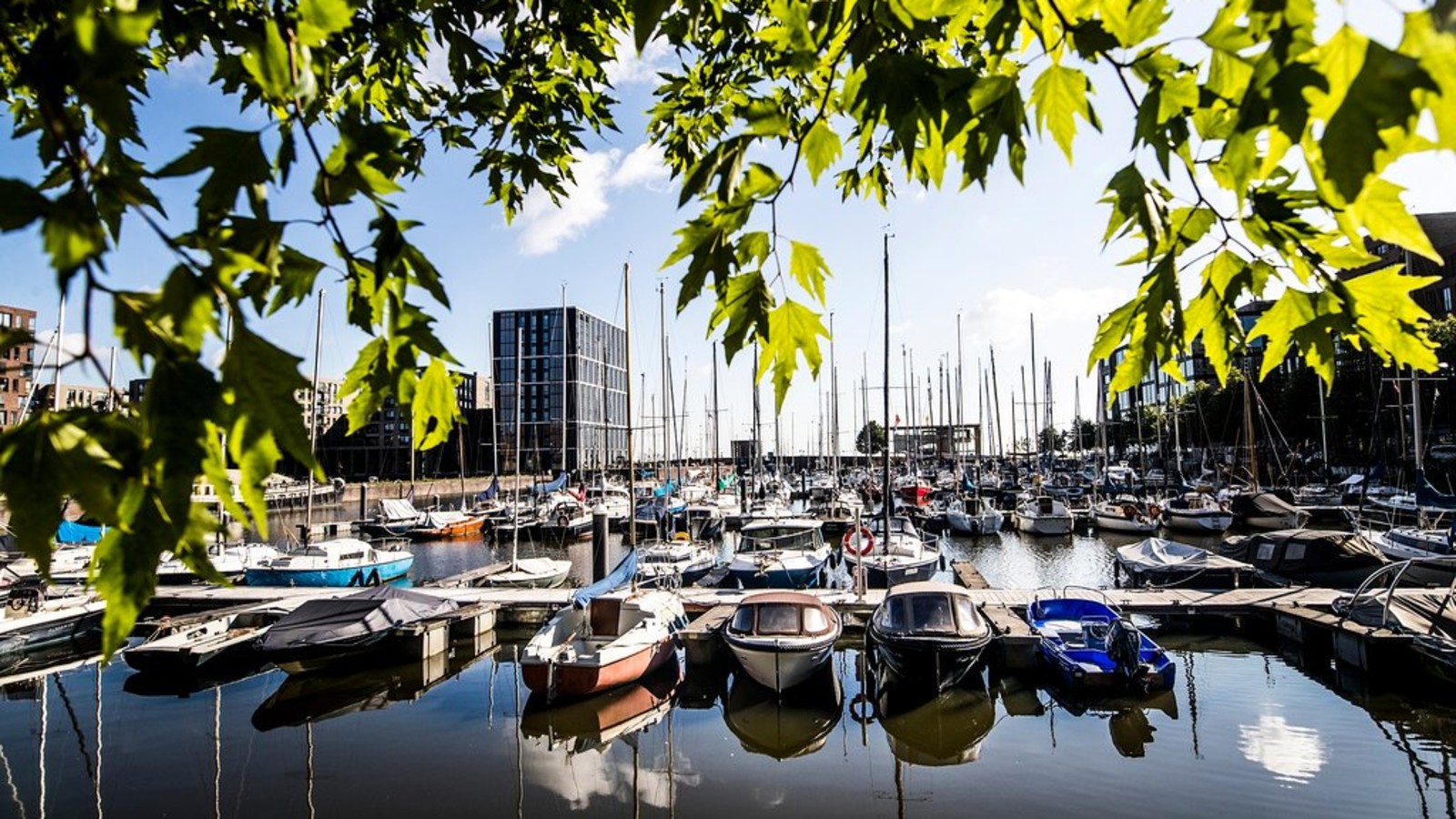 Location and Parking